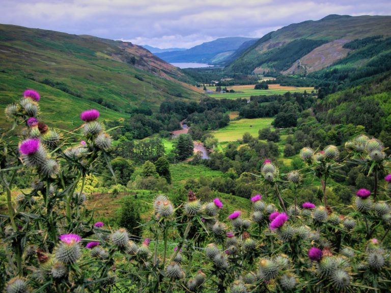 The Symbols of Scotland